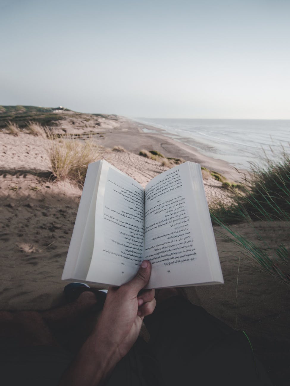 10 Seaside Novels to Transport You to the Coast – Staring At The Sea ...